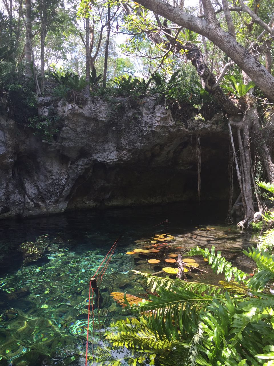 Recharging in Tulum – '74Escape